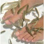 Private: Adults-Only Floating Ocean Spa with Massage & Yoga - Final Thoughts: Who Will Love This Experience?