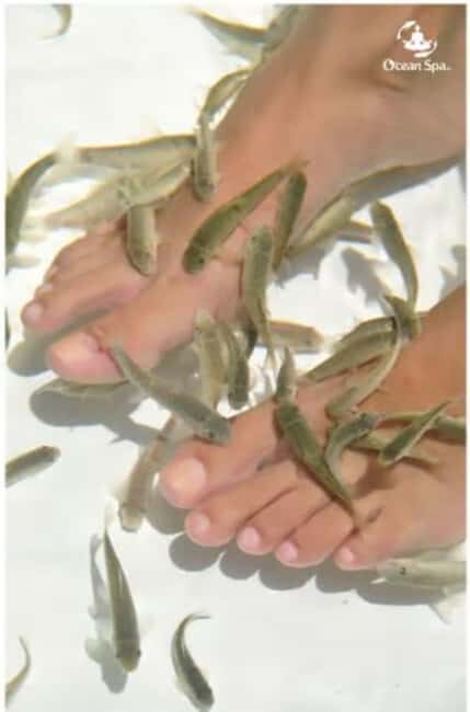 Private: Adults-Only Floating Ocean Spa with Massage & Yoga - Final Thoughts: Who Will Love This Experience?