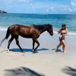 Private Advanced Horseback Beach Ride with Sandy Hoofs St. Lucia - The Itinerary and What Makes Each Stop Special
