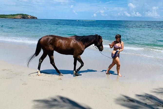 Private Advanced Horseback Beach Ride with Sandy Hoofs St. Lucia - The Itinerary and What Makes Each Stop Special