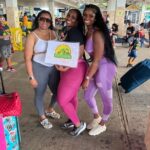 Private Airport Transfer from MBJ to Hyatt Ziva/Zilara Rose Hall - The Experience: What to Expect