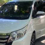 Private Airport Transfer to all resorts in Falmouth, Trelawny - The Itinerary and Experience in Detail