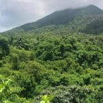 Private Airport Transfer to Belmont Estate Farm, Kititian Hill - The Journey to Belmont Estate Farm: What to Expect