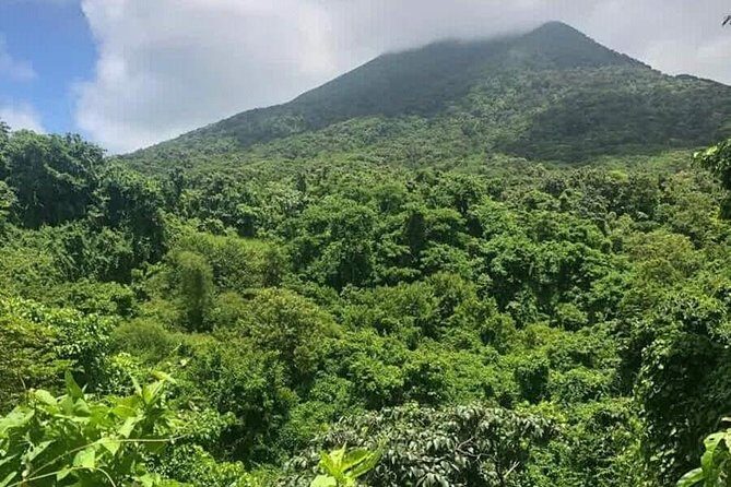 Private Airport Transfer to Belmont Estate Farm, Kititian Hill - The Journey to Belmont Estate Farm: What to Expect