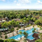 Private Airport Transfer to Couples Negril Resort - What to Expect on the Day