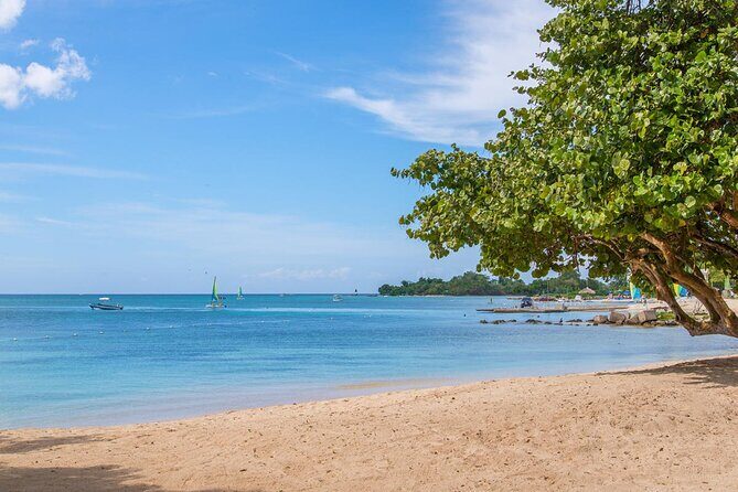 Private Airport Transfer to Hedonism ll Resort - Who Will Benefit Most from This Transfer?