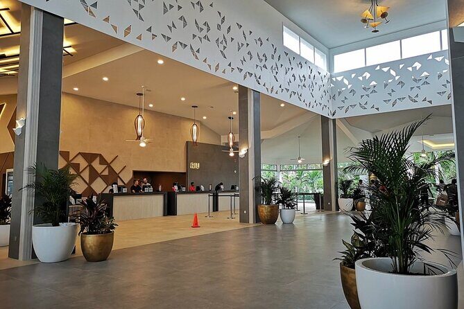 Private Airport Transfer to RIU Ocho Rios Resort - What to Expect During Your Transfer