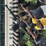 Private and customizable Ocho Rios day tour - What’s Included and What’s Not