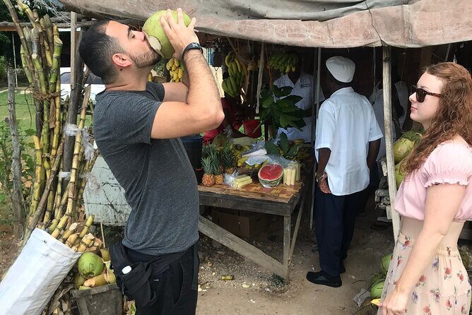 Private and Customize Highlight Tour to Montego Bay from Falmouth - Itinerary Breakdown: What Will You See and Do?