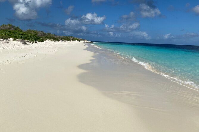 Private and Luxury 2 Stop Snorkel in Bonaire National Marine Park - What Reviewers Love Most