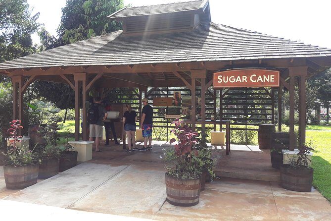 Private Appleton Estate Rum and Pelican Bar Tour from Montego Bay - Practical Details That Matter