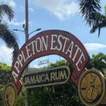 Private Appleton Estate Rum Tour with Limestone Massage, Rafting - Authenticity and Value