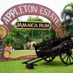 Private Appleton YS Falls and Black River Tour from Montego Bay - The Itinerary in Detail