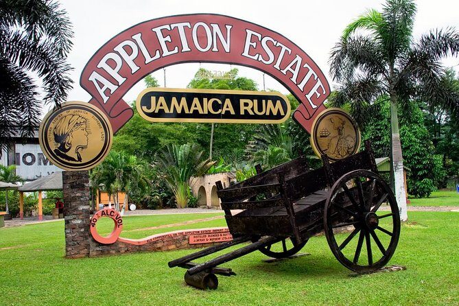 Private Appleton YS Falls and Black River Tour from Montego Bay - The Itinerary in Detail