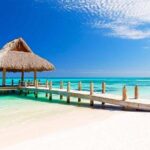 Private Arrival Transfer from Punta Cana airport (PUJ) to Punta Cana - The Experience: What You Can Expect