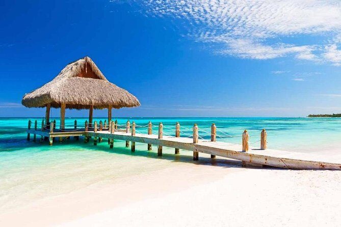 Private Arrival Transfer from Punta Cana airport (PUJ) to Punta Cana - The Experience: What You Can Expect