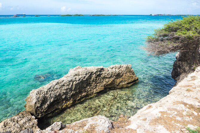 Private Aruba Beach Hop and Snorkel Experience - What Makes This Tour Stand Out?