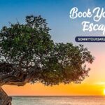 Private Aruba roundtrip airport transfer - Context and Practicality