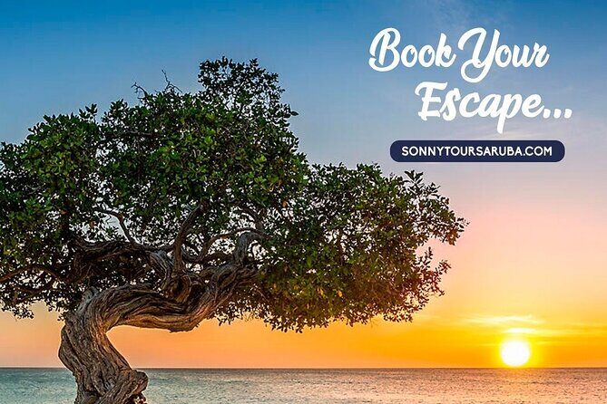 Private Aruba roundtrip airport transfer - Context and Practicality