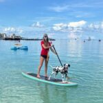 Private Aruba Stand Up Paddleboard Experience - The Itinerary: What Your Day Looks Like