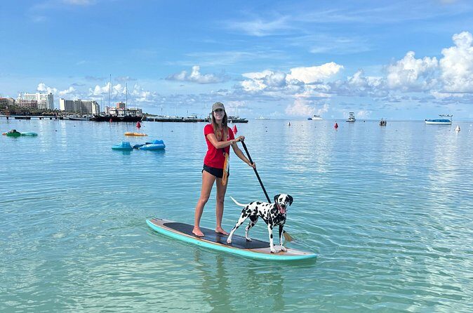 Private Aruba Stand Up Paddleboard Experience - The Itinerary: What Your Day Looks Like