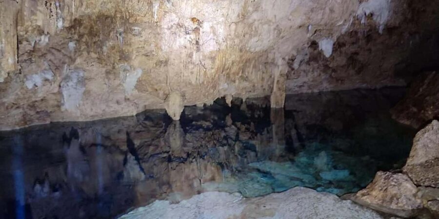 Private: Bayahibe: Jungle Walk and Cenote Snorkeling Tour - The Itinerary in Detail