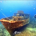 Private Bayahibe: Snorkeling Tour with Lunch and Cenote Swim - The Cenote Experience: Swimming in Nature’s Pool