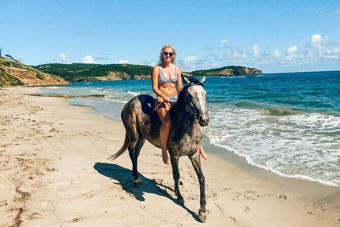 Private Beach Horseback Ride with Sandy Hoofs St. Lucia - The Sum Up