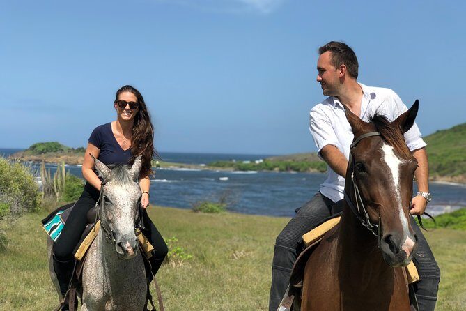 Private Beach Picnic Horseback Ride with Sandy Hoofs St. Lucia - An In-Depth Look at the Experience