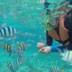 Private: Beginner Scuba Dive in Bávaro: 30-Minute Reef Dive - What Makes This Experience Stand Out?