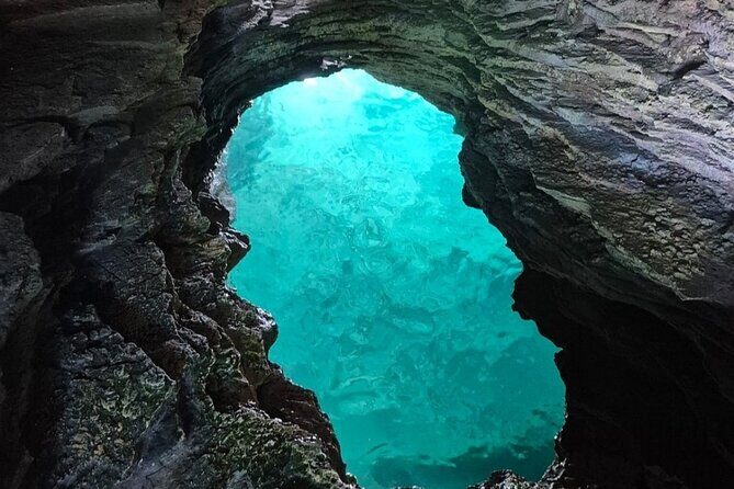 Private Bermuda Historic Sightseeing Cruise With Swim Stops - The Value Equation: Is It Worth It?