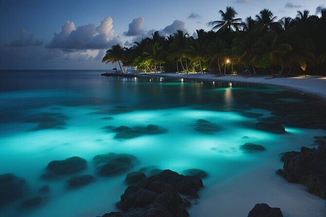 Private Bioluminescent Bay Tour - Authentic Experiences and Real-World Insights