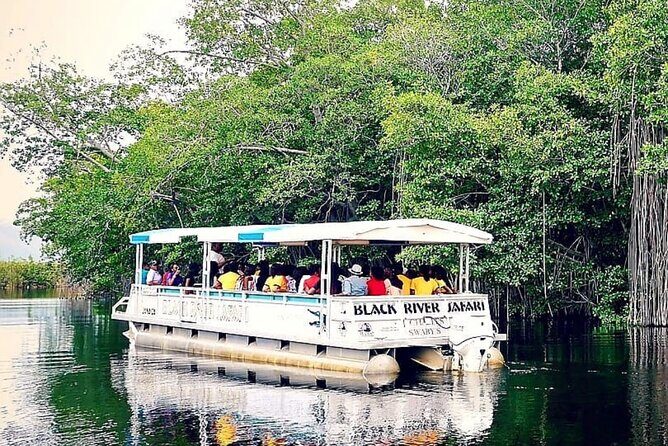 Private Black River Safari Tour from Montego Bay Resorts - Practical Details: What to Expect