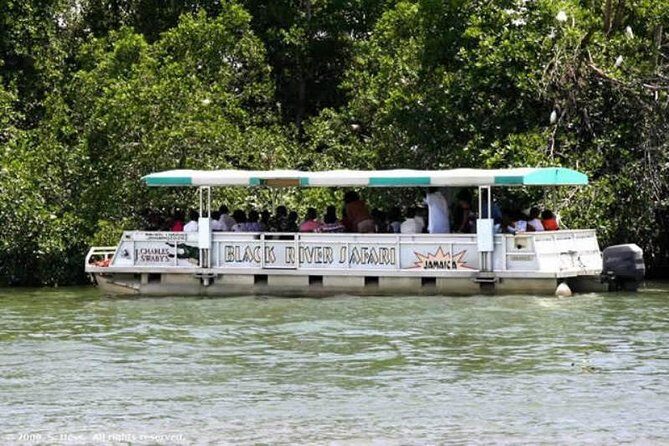 Private Black River Safari Tour from Montego Bay - Who Will Love This Tour?