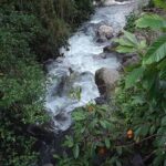 Private Blue Mountain tour from Ocho Rios - What the Reviews Say: Authenticity, Scenery, and Value