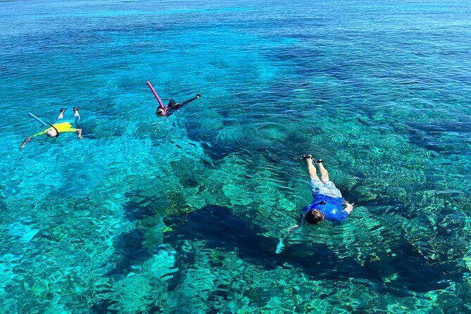 Private Boat Island Hopping & Snorkeling in Turks & Caicos 4Hrs - Who Is This Tour Best For?