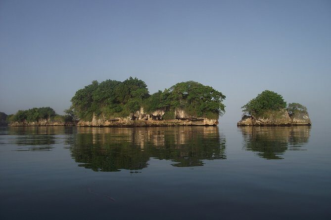 Private Boat Nature Tour of Los Haitises National Park - Transportation and Comfort