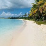 Private Boat Nature Tour of Saona Island - What’s Included and What’s Not