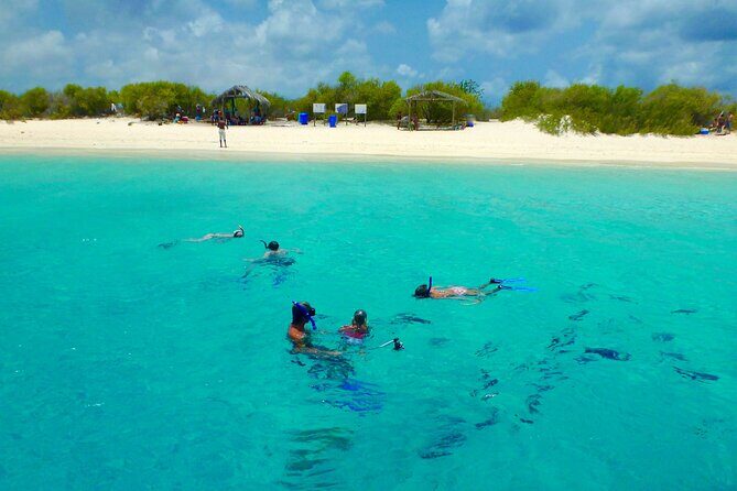 Private Boat Snorkel tour to Klein Bonaire - What to Expect from this Private Snorkel Adventure