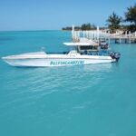 Private Boat Swim and Snorkel Adventure to Rose Island - Evaluating the Value