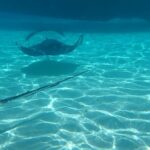 Private Boat Tour in Cayman Islands - What to Expect on the Day