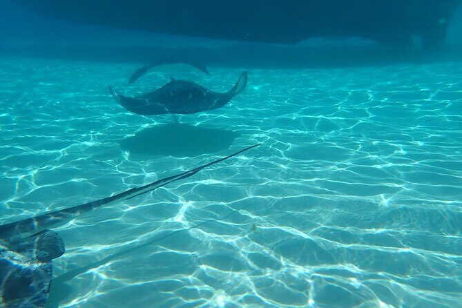 Private Boat Tour in Cayman Islands - What to Expect on the Day