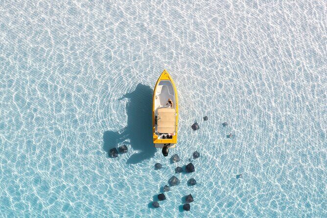 Private Boat Tours: Customize Your Grand Cayman Adventure! - Final Thoughts