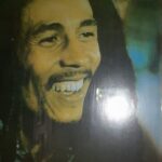 Private Bob Marley 9 Mile& Dunns River Adventures Fr. Montego Bay - Exploring the Value and Experience