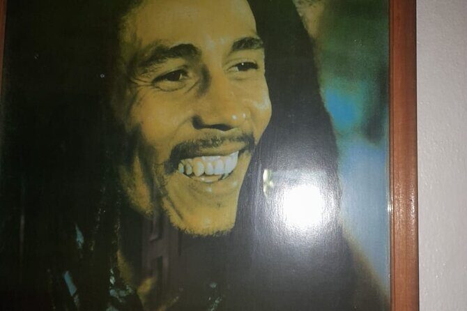 Private Bob Marley 9 Mile& Dunns River Adventures Fr. Montego Bay - Exploring the Value and Experience
