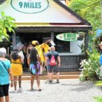 Private Bob Marley Nine Mile & Kingston Tour Combo from Runaway Bay - Who Is This Tour Best For?