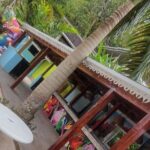 Private Bob Marley's Resting place, Dunn's River and shopping - The Practical Aspects