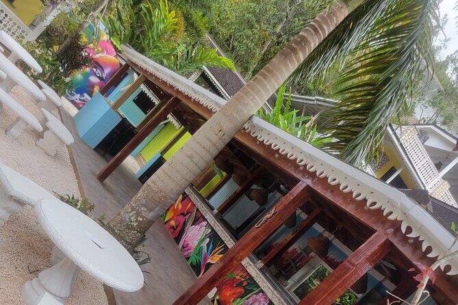 Private Bob Marley's Resting place, Dunn's River and shopping - The Practical Aspects