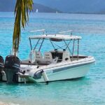 Private BVI Full Day Soggy Dollar and Willy T Tour - What the Tour Offers: A Closer Look