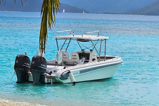 Private BVI Full Day Soggy Dollar and Willy T Tour - What the Tour Offers: A Closer Look
